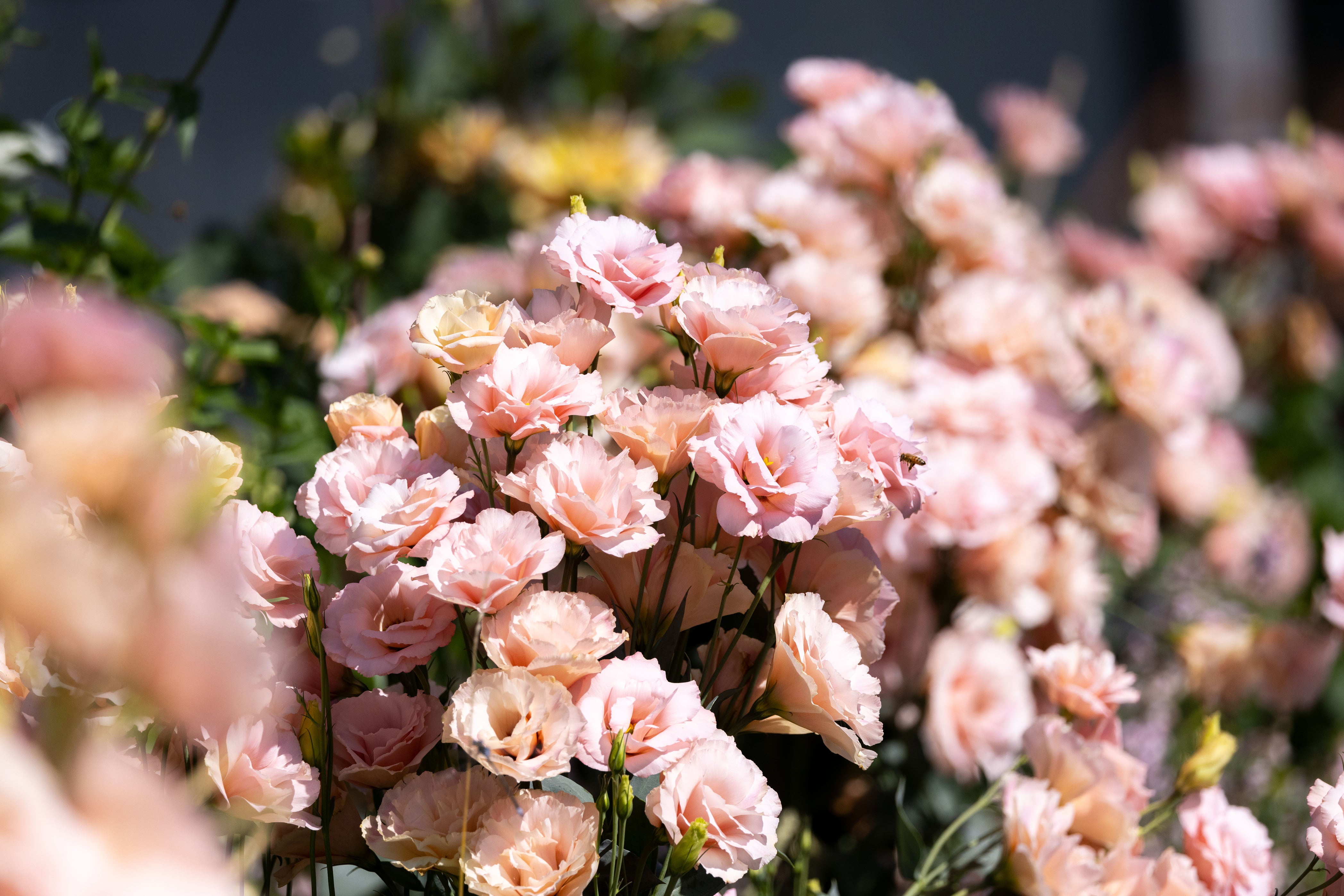 Spring Equinox 2022 - Embrace the Change - ForHeavenSake
